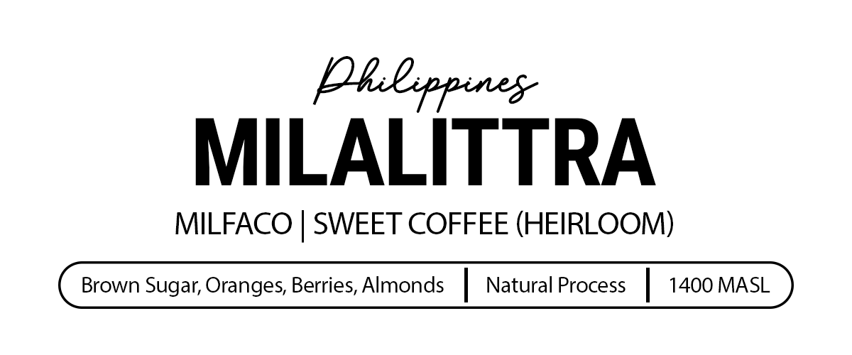 New Releases – Taza Coffee Company