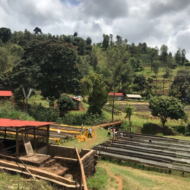 New Releases – Taza Coffee Company